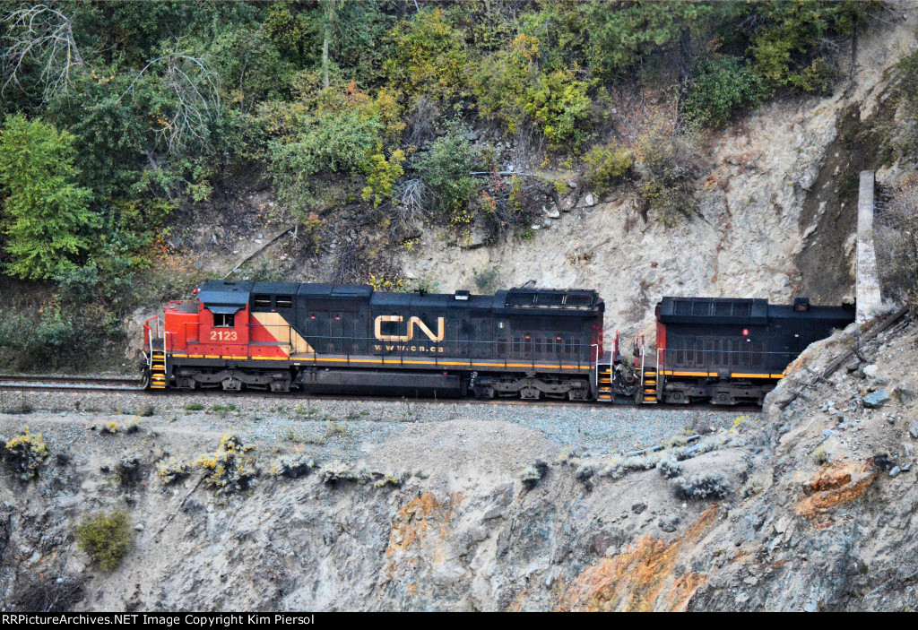CN 2123